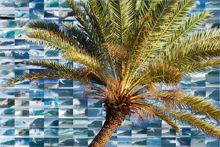 Coastal Artwork & Beach Photographs | Sean Tiner Art